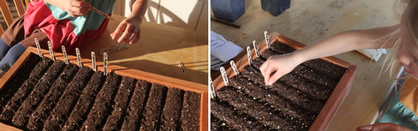 Building and Using Seedling Flats | Peak Prosperity